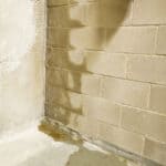 Damp Basement? Here's why and how to fix it (updated: March 2025)