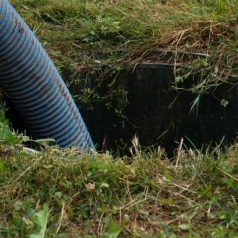 Septic Tank Smell in the House? Here's How to Get Rid of Septic Smells ...
